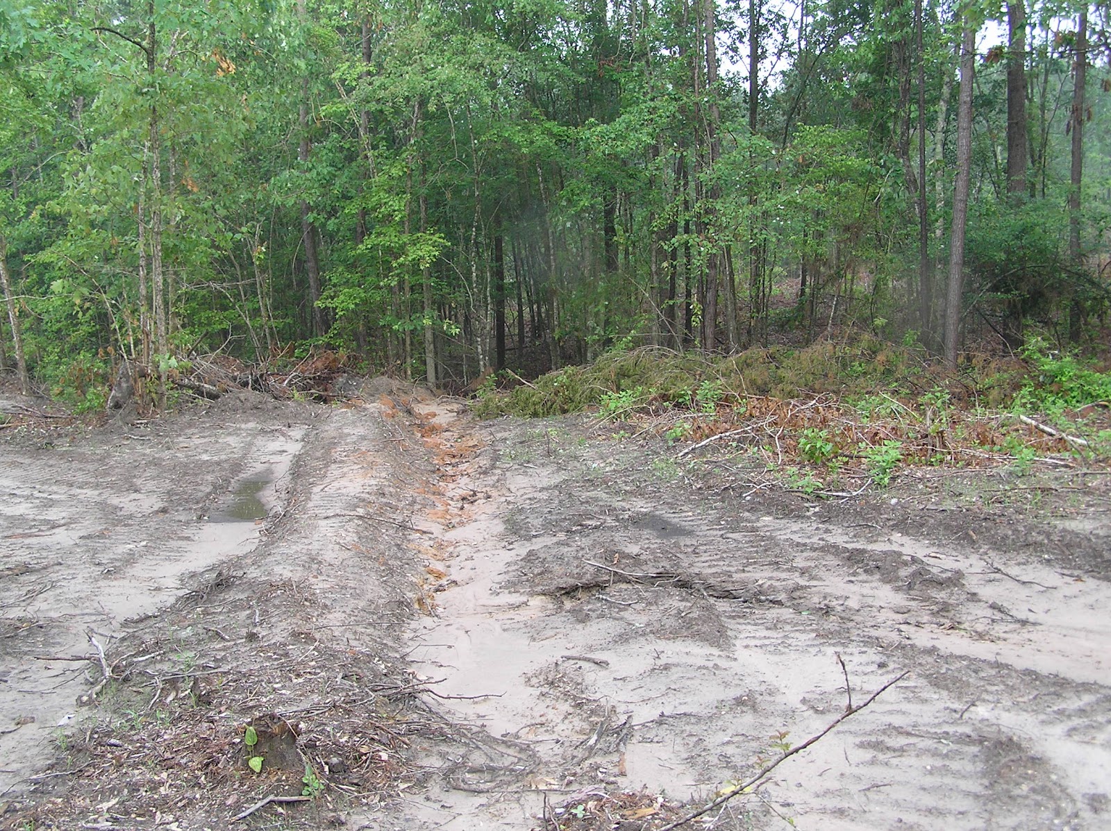 Texas A&M Forest Service: Water Resources: The basics of waterbars and ...