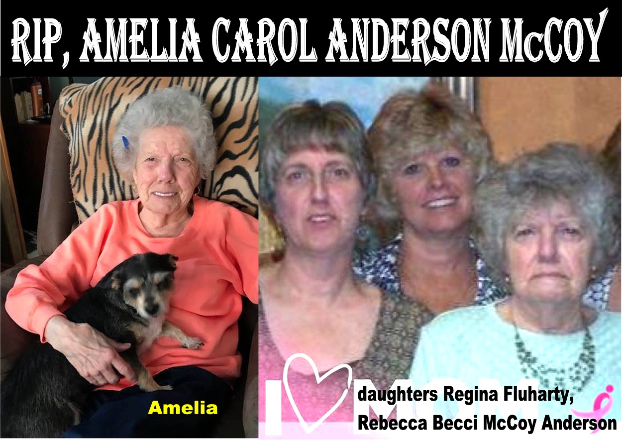 .: AMELIA CAROL ANDERSON McCOY, MOTHER OF LIONS, PASSES AWAY