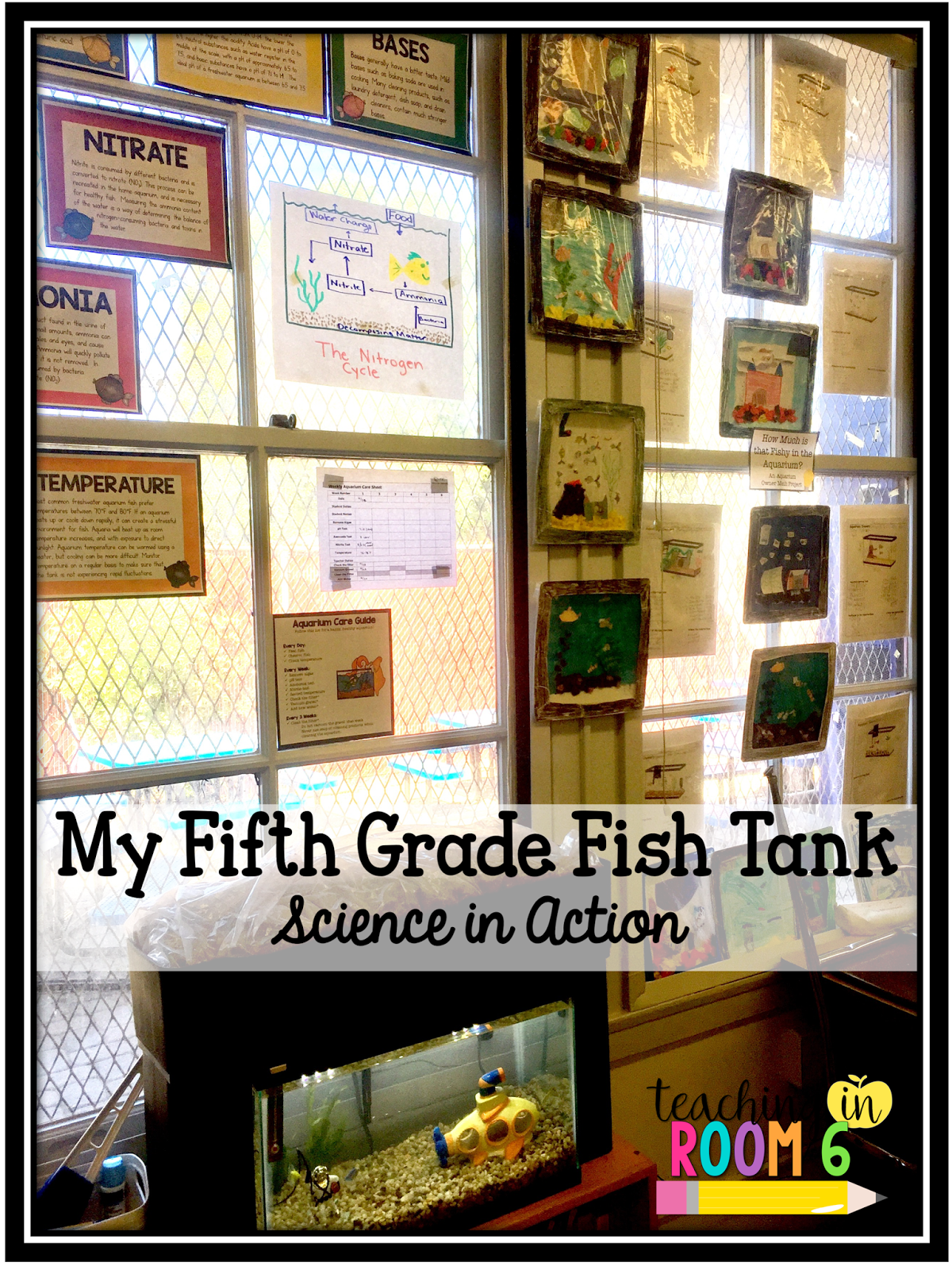 An Aquarium in my Fifth Grade Classroom | Teaching in Room 6