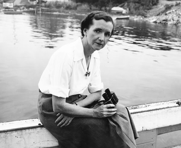 Рэйчел Карсон (Rachel Carson, 1907-1964) - жизнь и труд: lenka_lesoleil ...