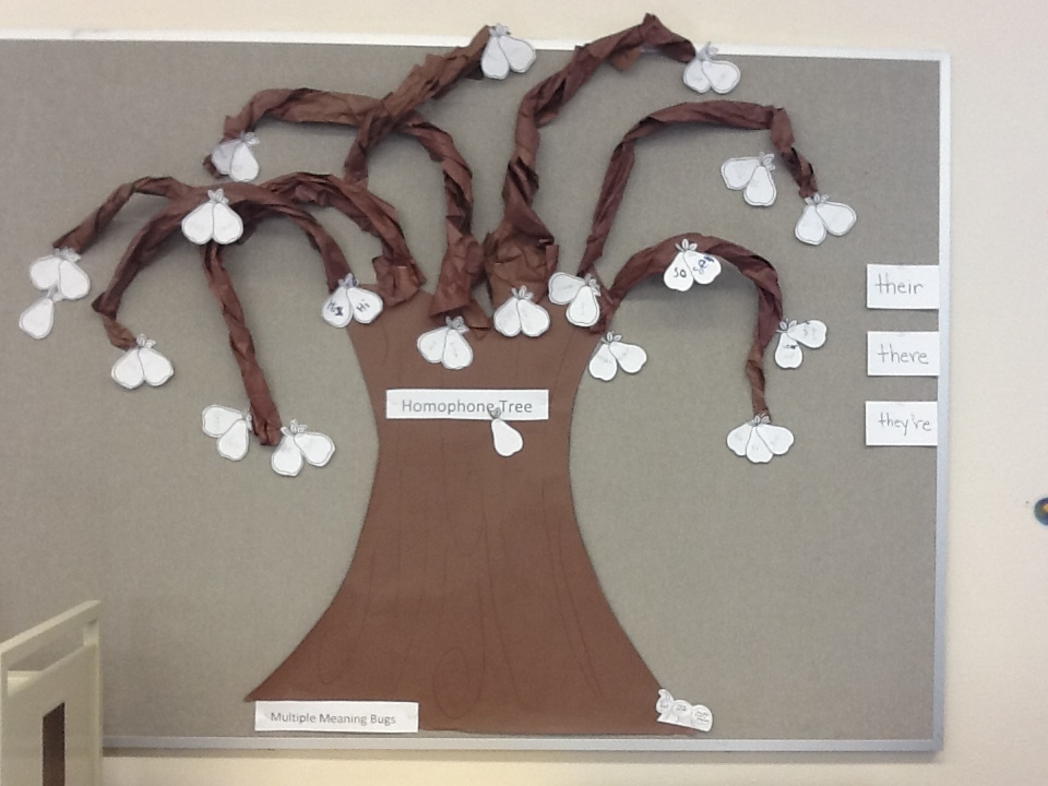 A Passion to Teach: Homophones and Multiple Meaning Words