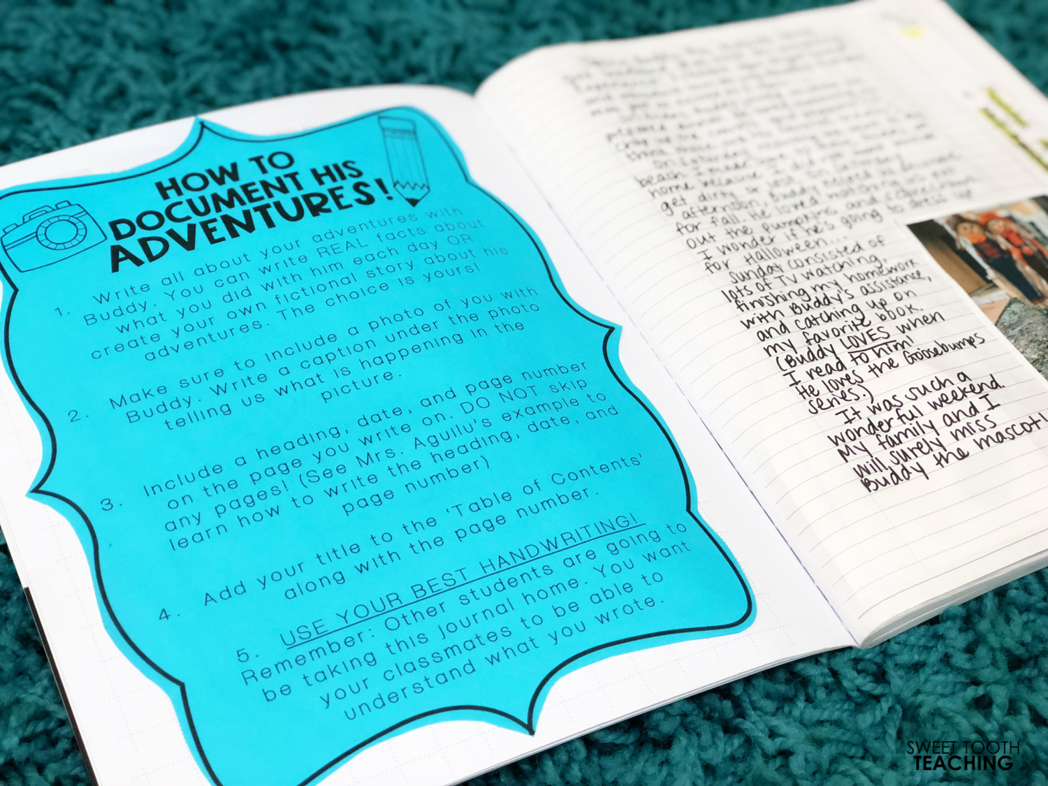 Class Pet- A Classroom Management idea - Sweet Tooth Teaching