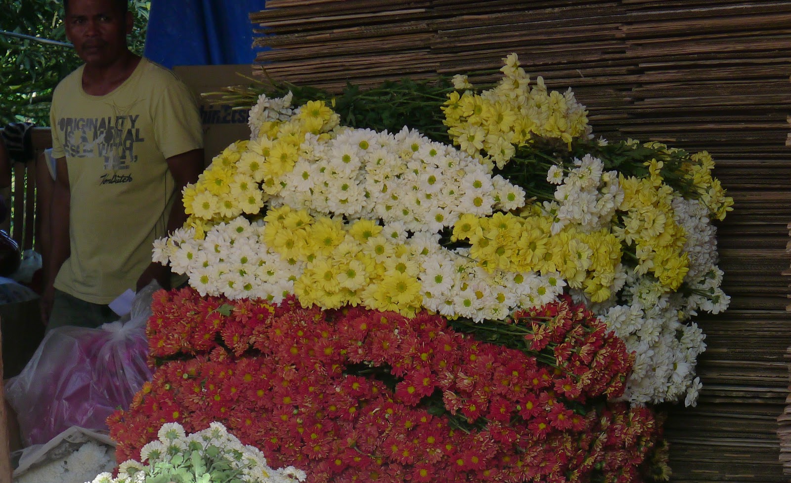 adventures in sustainability: The Flower Growers of Busay, Cebu