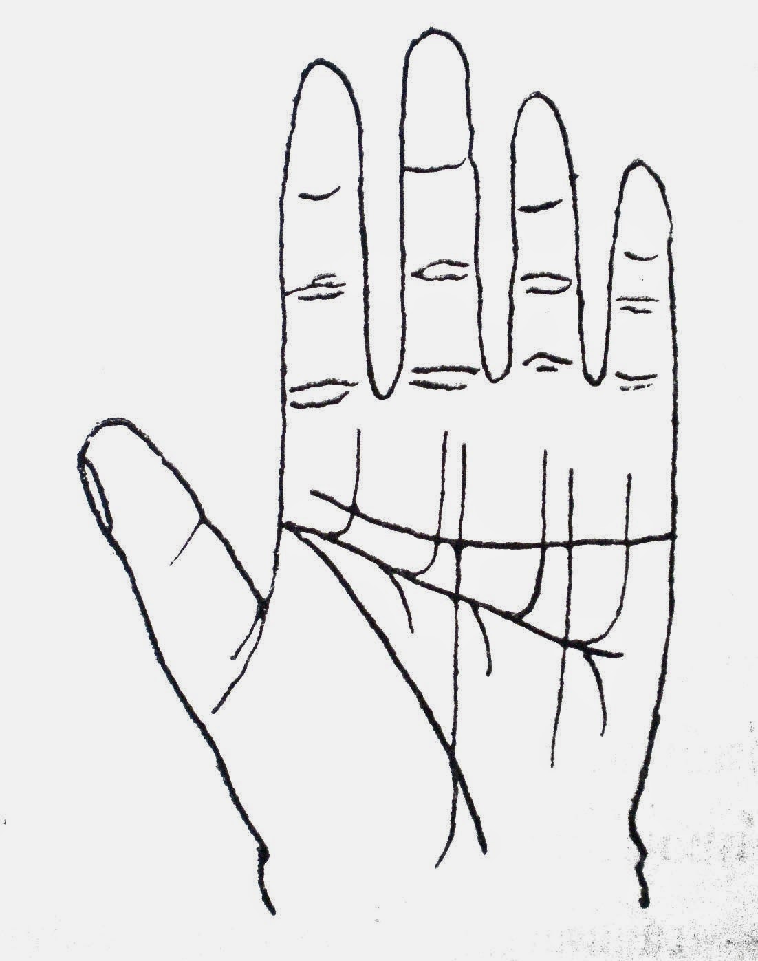 Hand Prediction ทำนายลายมือ: เส้นสมองลักษณะต่างๆ(4)