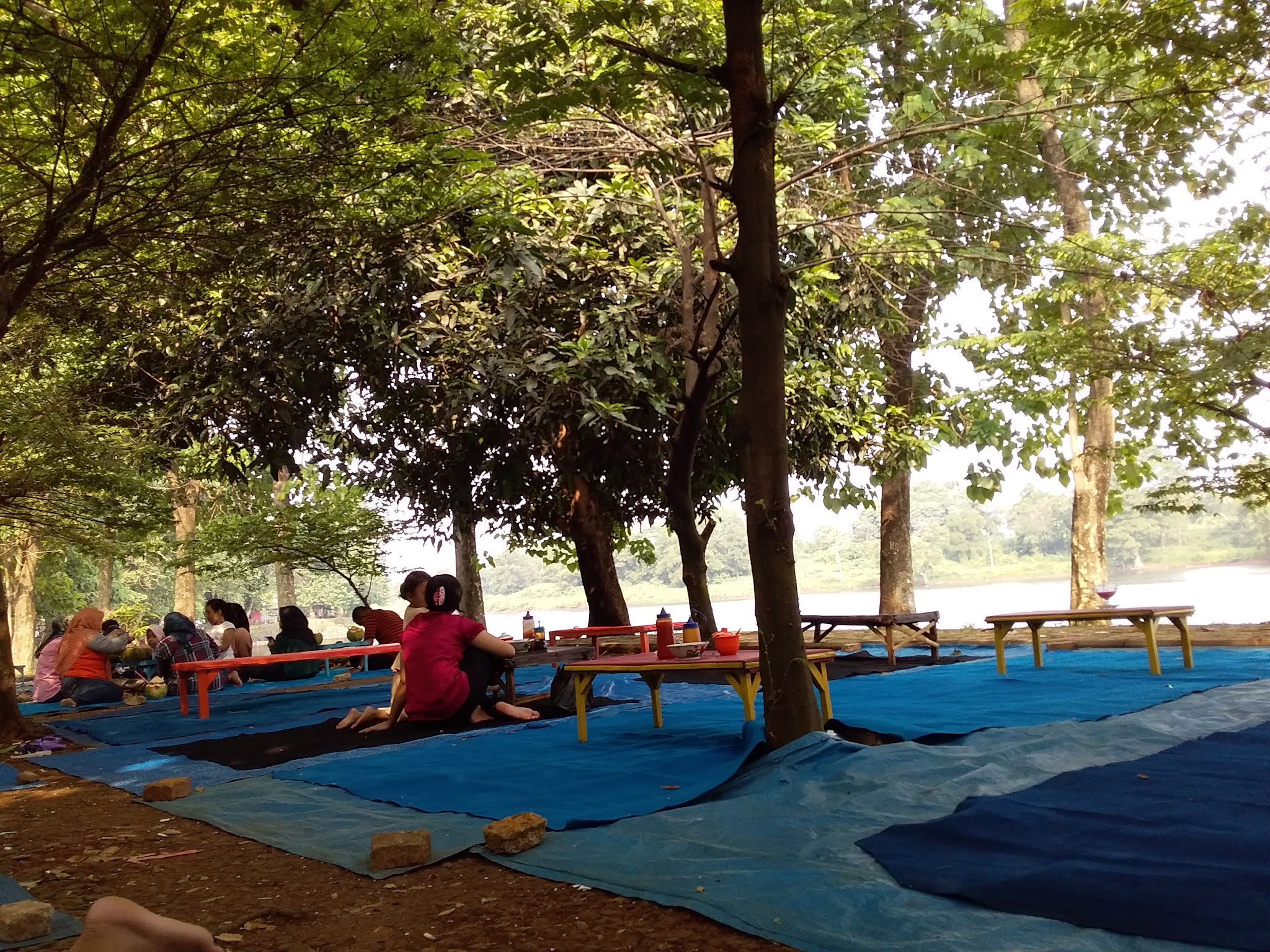 Arti Situ, Sejarah Situ Cikaret, Lokasi Setu Cikaret, dan Fasilitas ...