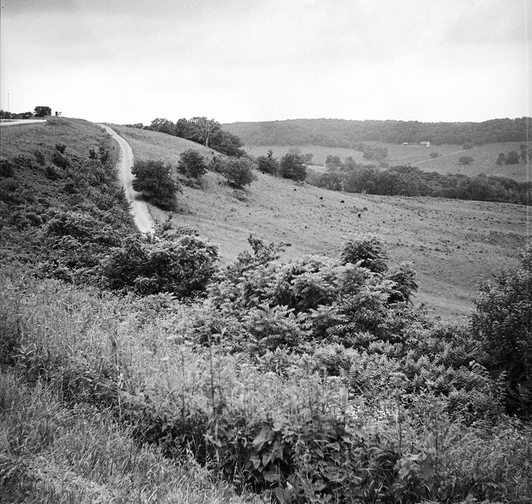 Caffenol: Ilford Delta 400 @ 800 - Caffenol-C-L