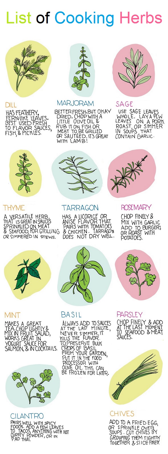 List of Cooking Herbs