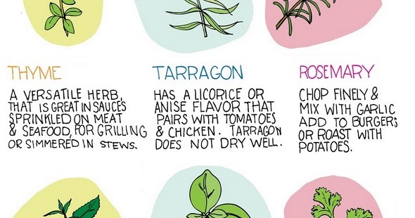 List of Cooking Herbs