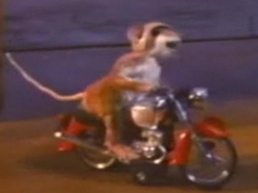 Z.Love's Entertainment Blog: To Catch a Neighborhood Predator: A True Story