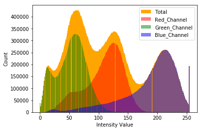 MuonRay: Plotting for Scientific and Engineering Applications Using Python