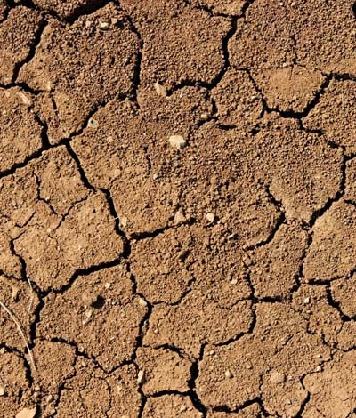 Astrología Liberal, Todo Sobre La Astrologia: Secretos para Seducir al ...