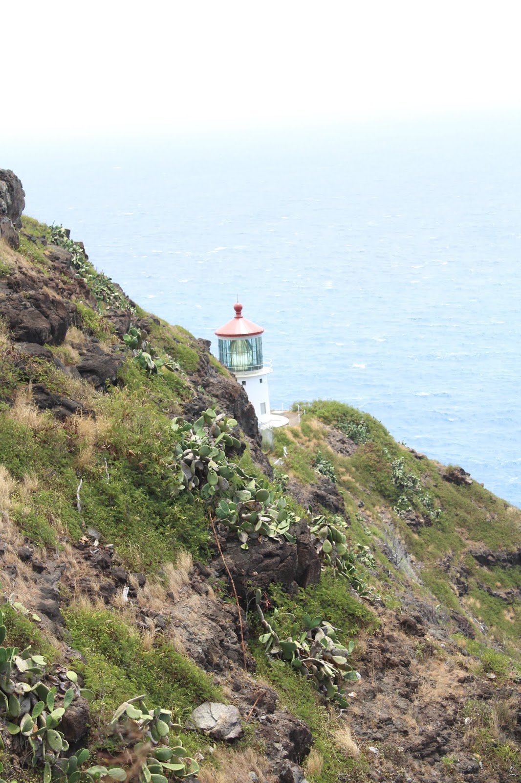 Makapu'u Point Lighthouse Trail | Stripes and Whimsy