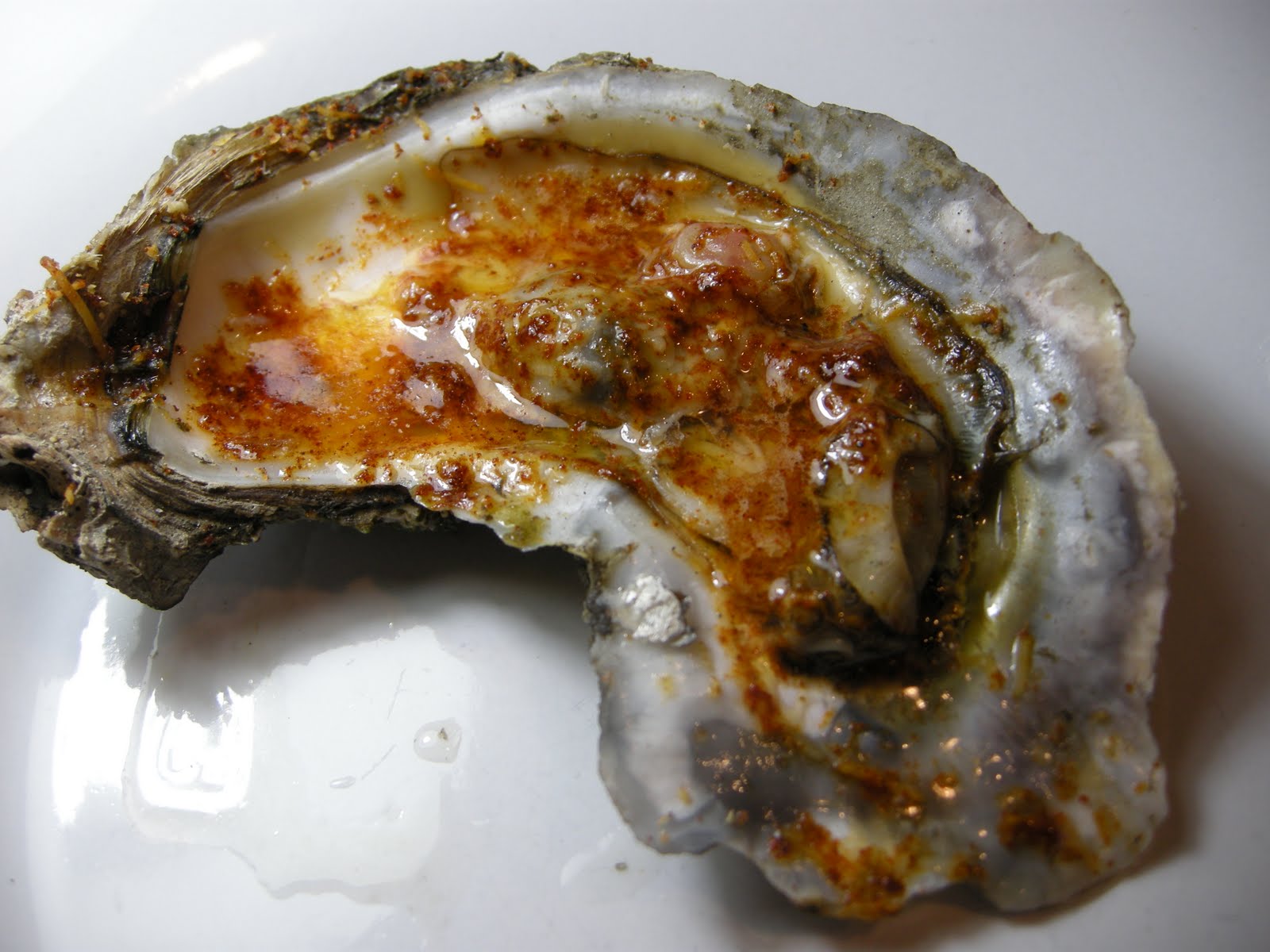 Kitchens Are Monkey Business: OYSTERS!