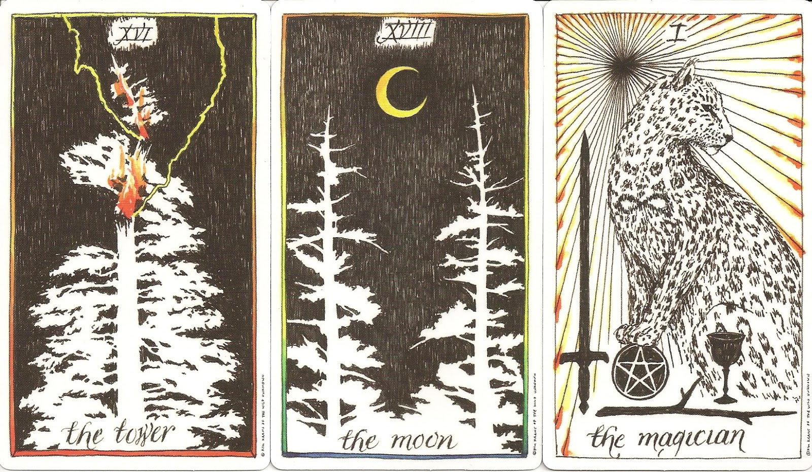 Eno's Tarots: The Wild Unknown Tarot