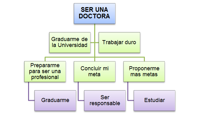 Mi Proyecto de Vida
