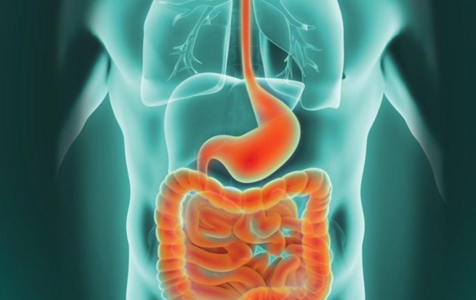 Final Stages of GIST Cancer - CancerOz