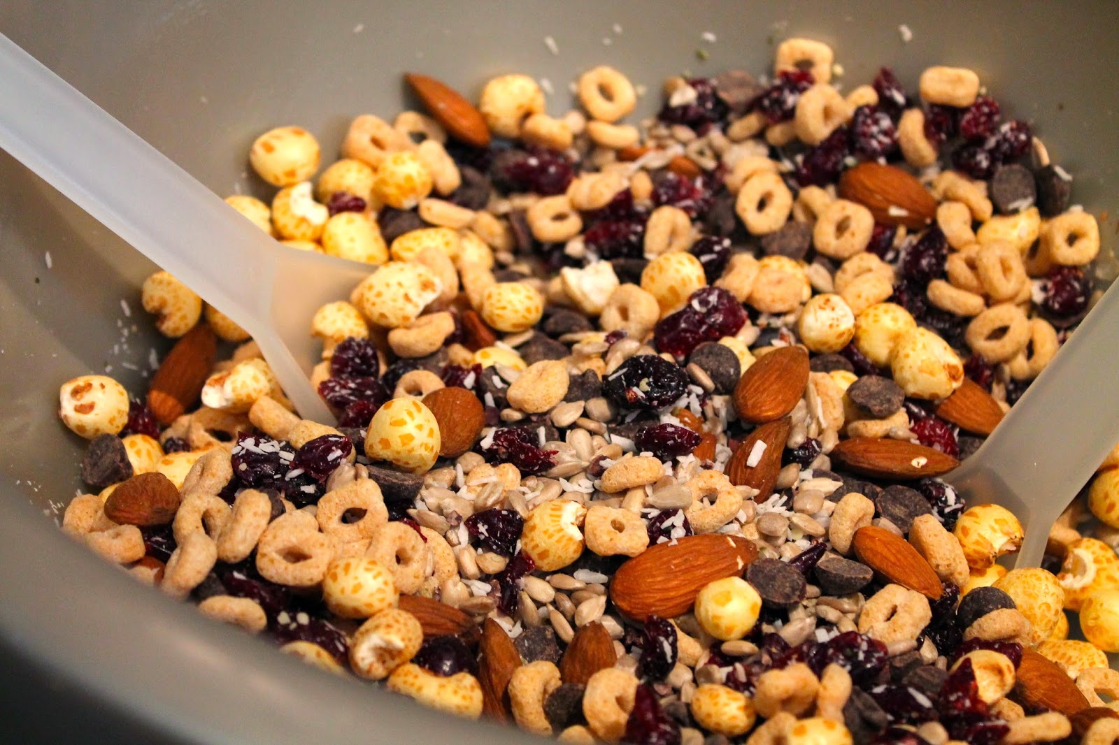 Lisa Tsakos, RHN: Super Easy Gluten-Free Trail Mix Recipe