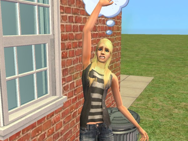 Rex: Meet New Willow Bay (001 to 020)