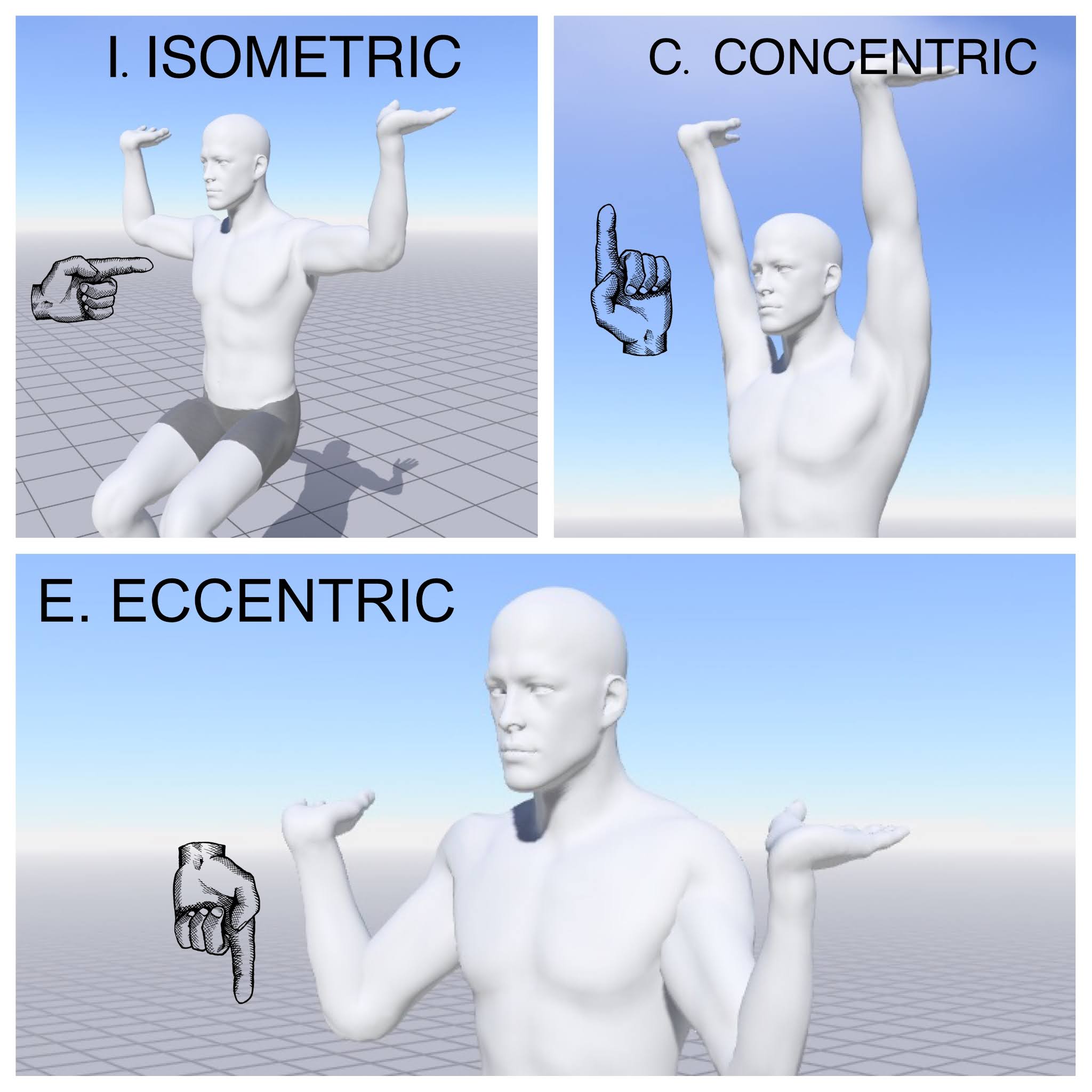 ISOMETRIC I.C.E. TECHNIQUE.....3 ANGLE ISOMETRIC HOLD. WEIGHTS,BANDS ...