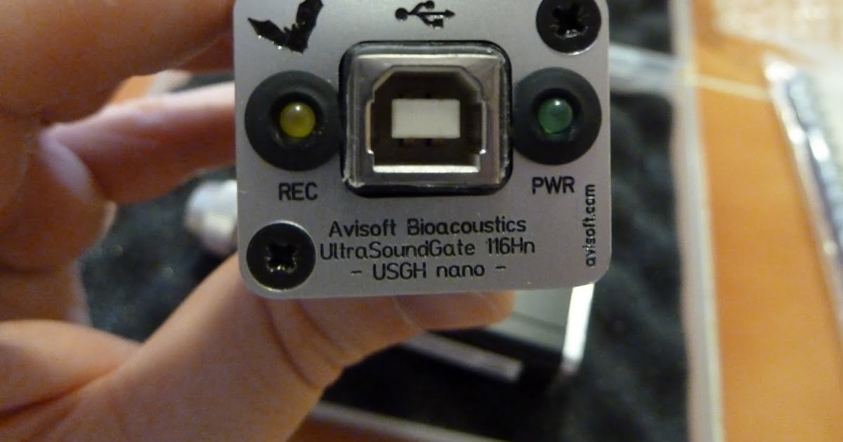 Bat Detector Reviews: New Ultrasonic Microphones from Avisoft Bioacoustics