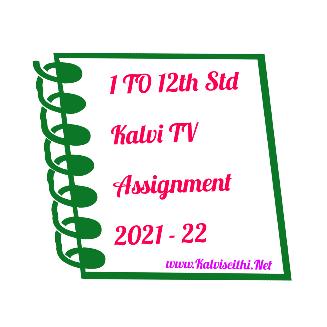 1 TO 12th Std Assignment Questions And Answer TN STUDY in Kalviseithi 1-to-12th-std-assignment-questions-and-answer-tn-study-in-kalviseithi