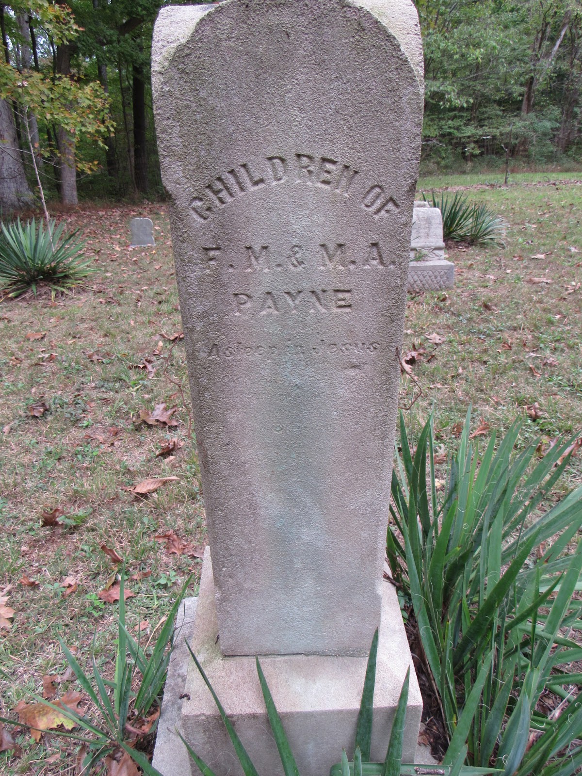 A Walk Through The Tombstones: Friendship Cemetery