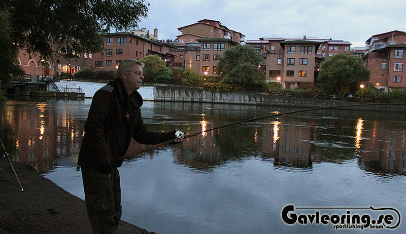 Norrköping | Riktigt trögt fiske i Motala ström!
