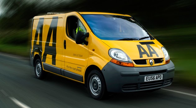 Lily of St. Leonards