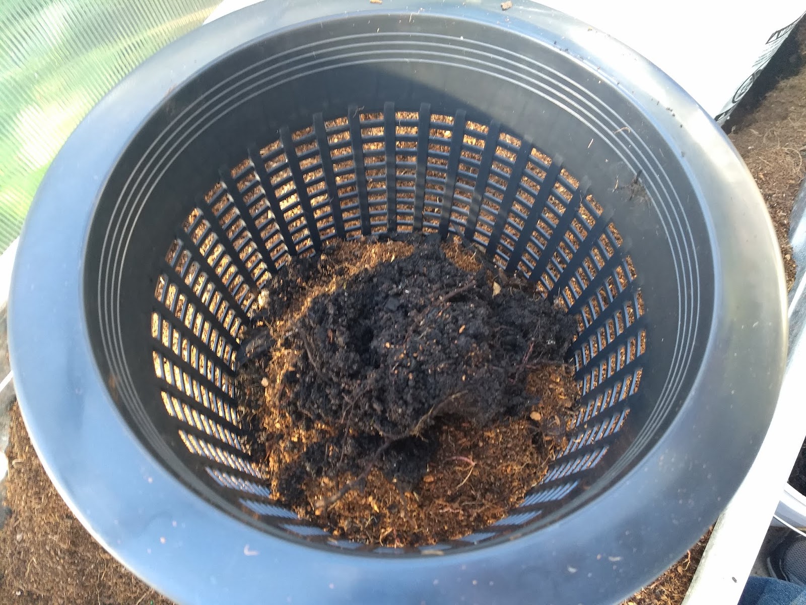 The Scientific Gardener: Buckets and Hydroponic Baskets for Growing ...