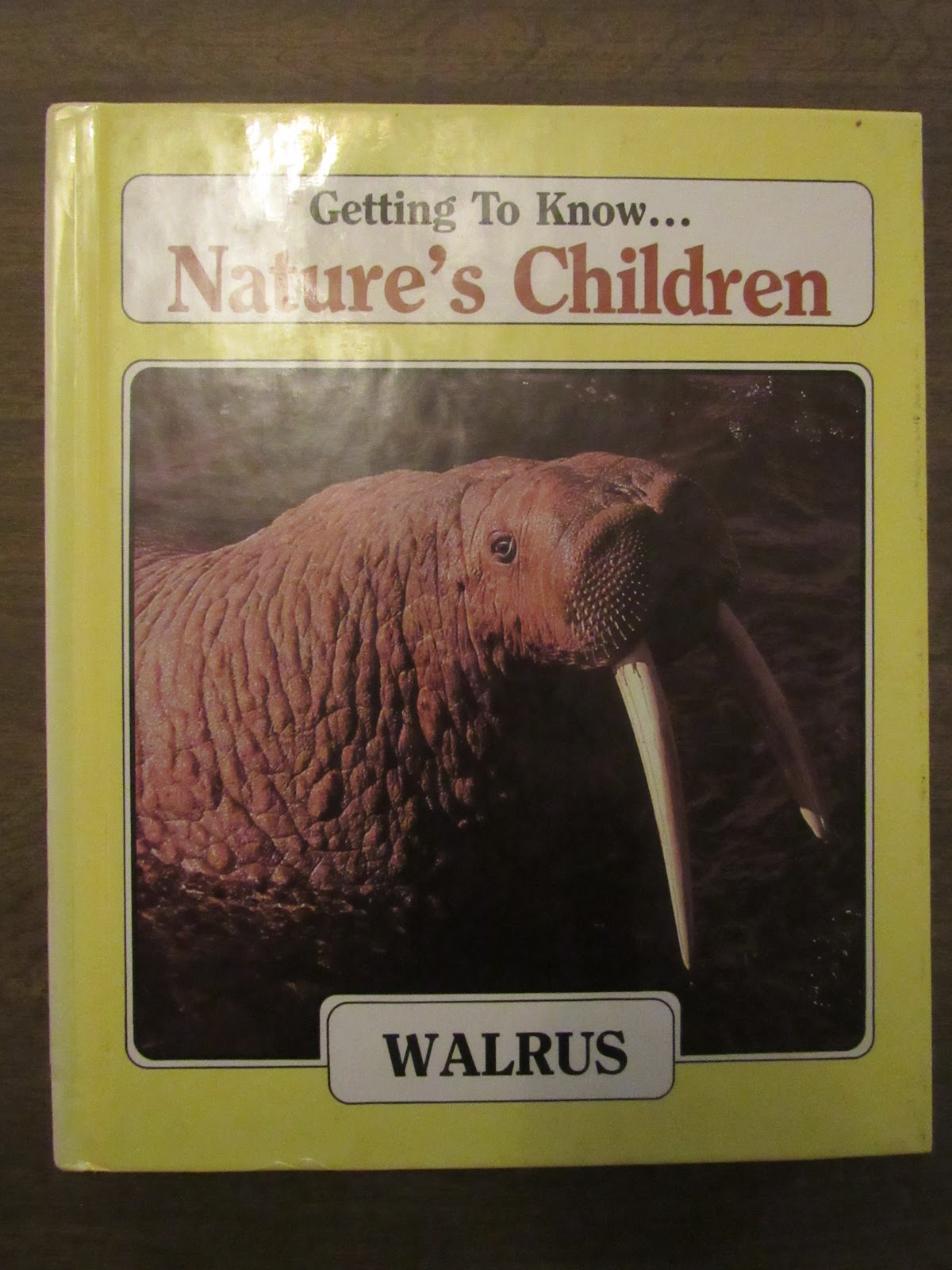 Tots and Me... Growing Up Together: Arctic Animal Fun: Walrus Lesson
