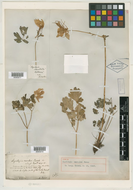 Prairiebreak: 200 years ago today....(Stephen Long Expedition part one)