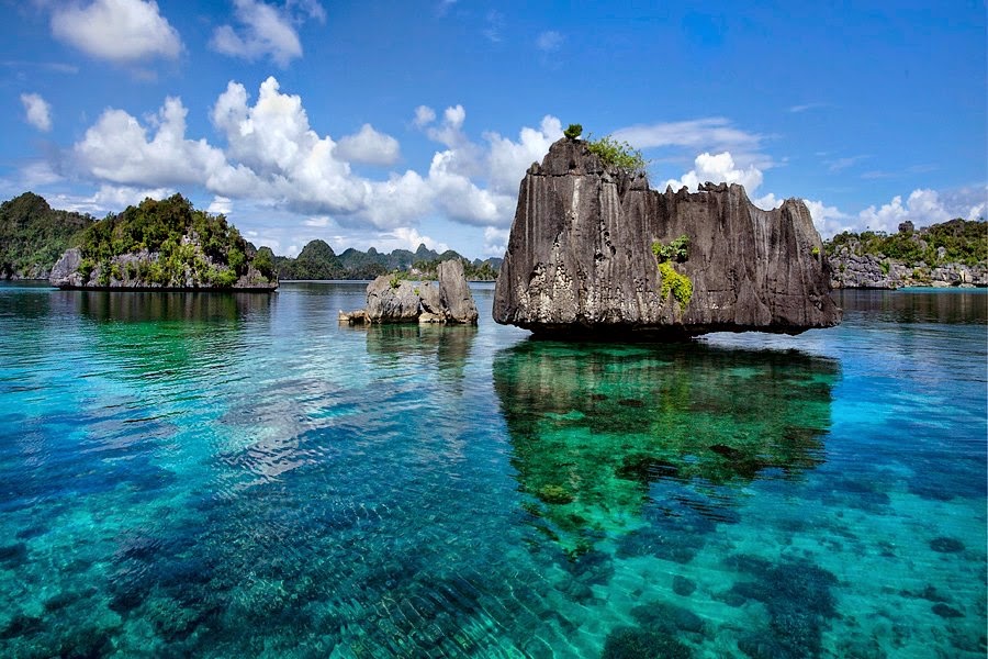 Pulau Misool : Raja Ampat’s spectacular world class Dive Destination ...