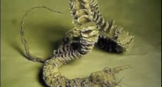 Mongolian Death Worm Tales | Beyond Science | Before It's News