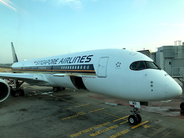 【飛行紀錄】新加坡航空 奇遇記 機上被熱咖啡潑到！ SQ327-SQ876 慕尼黑-新加坡-台北