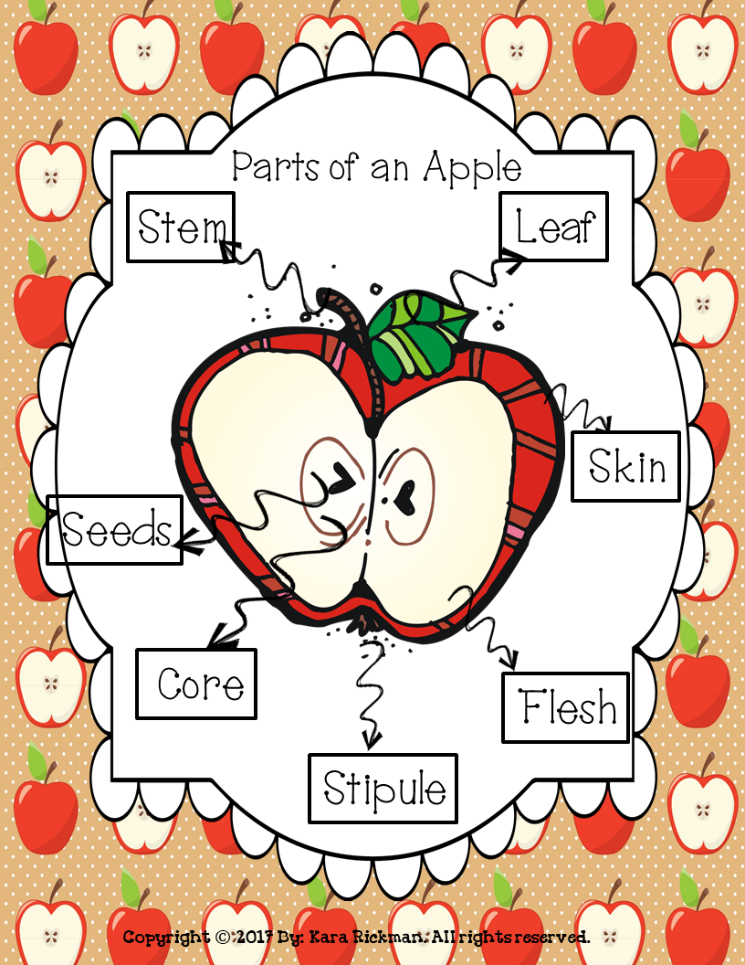 Create Your Balance With Literacy