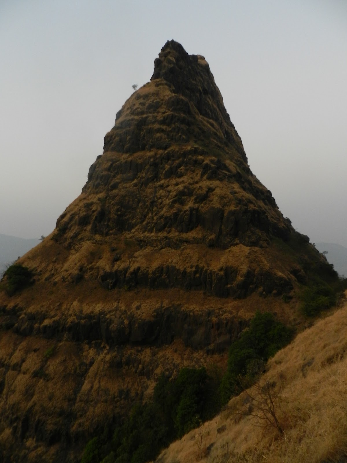 Hopeless Hopping: Lingana - The Complete adventure