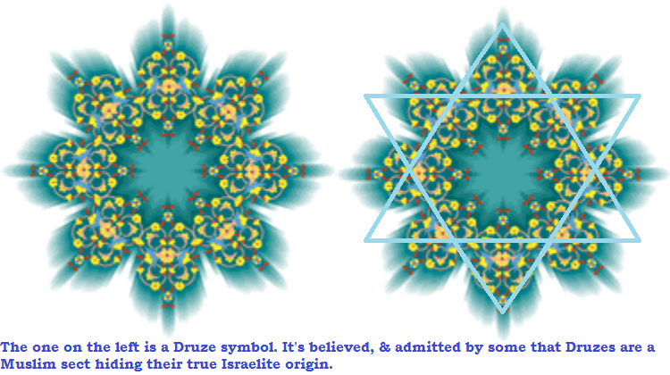 Israelitish worldwide : Some Ideas for the Jewish State