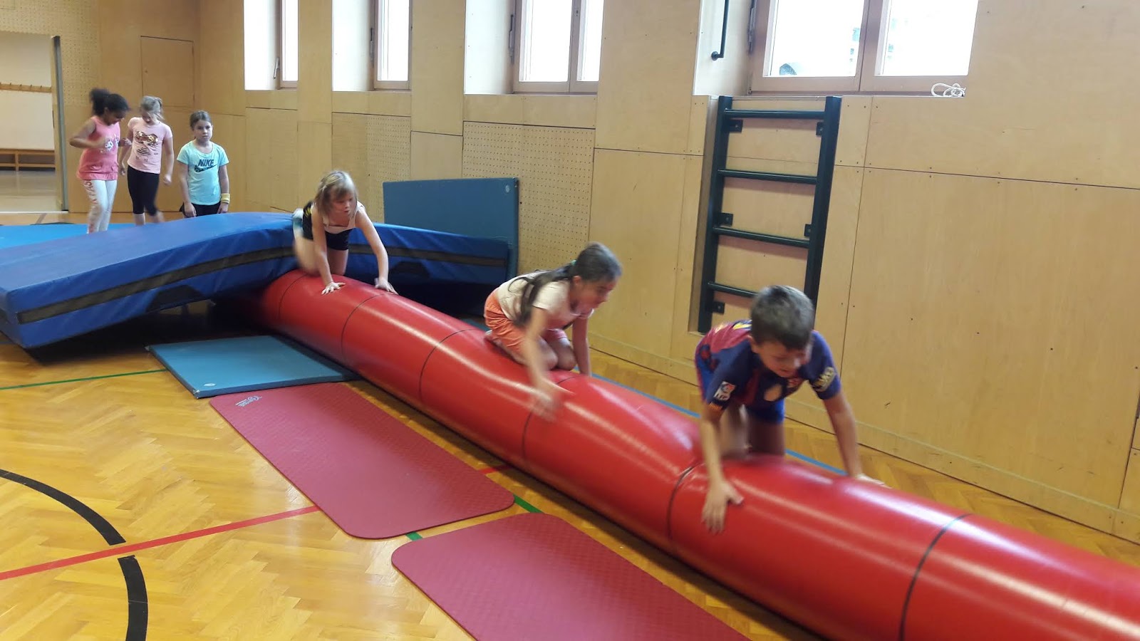 Susanne Heinlein: Dschungelcamp mit Hopsi Hopper