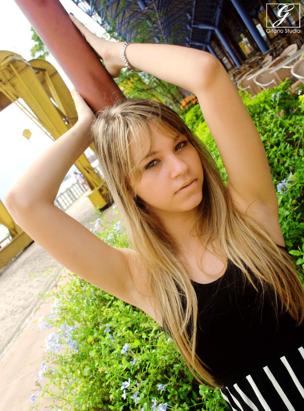 Gitano Studio: Book de Alice Lima