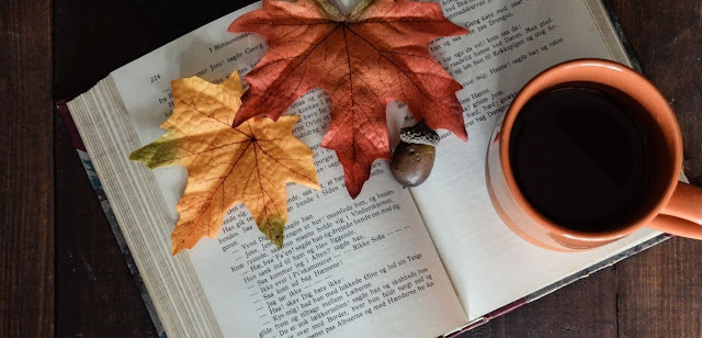 27 Benefits of Reading Books: Reading Books