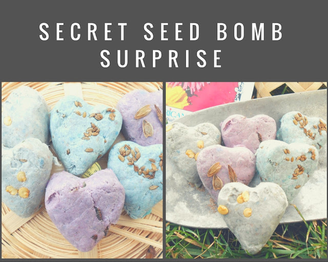 Mommy Suburbia: How To Make Flower Seed Bombs - A Fun & Easy Craft
