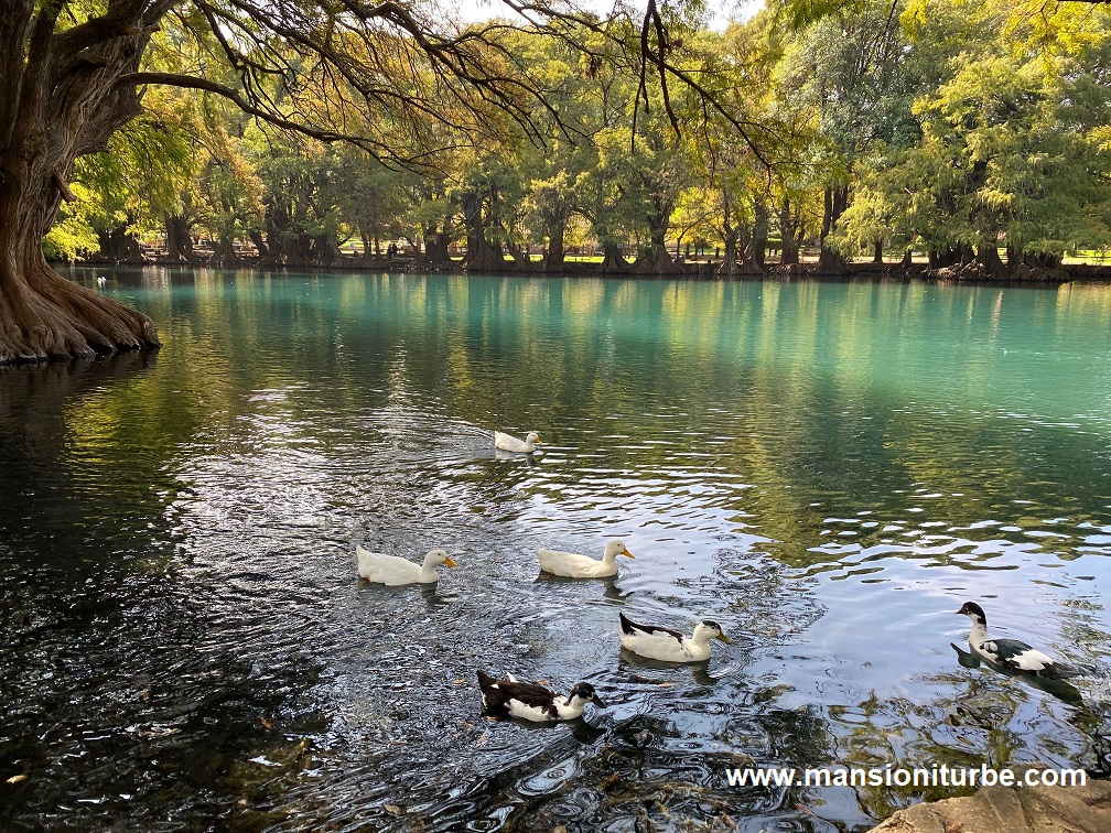Lago de Camécuaro un Lugar Mágico en Michoacán