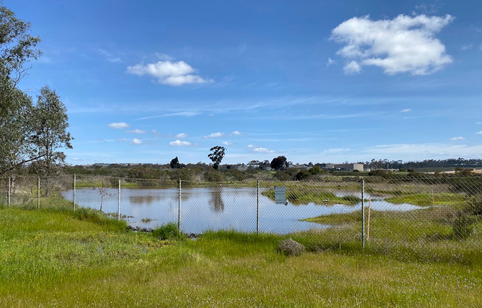 Looking for Vernal Pools: MCAS Miramar East G
