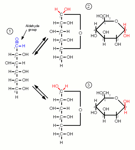 Penggolongan dan Identifikasi Karbohidrat