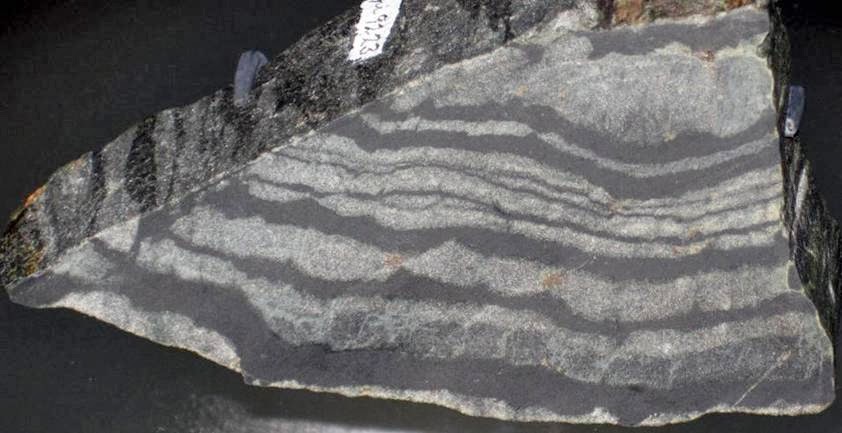 Palaeos, la historia de la Vida en la Tierra: octubre 2013