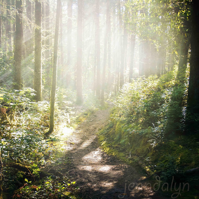 Create More Light: Oregon's Hobbit Trail: A Real Enchanted Forest.