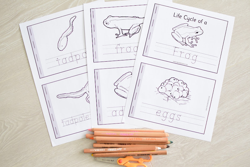 Life Cycle of a Frog Learning Activities | The Pinay Homeschooler