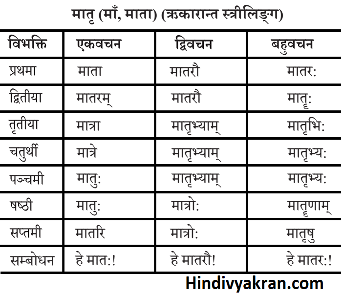 मातृ शब्द रूप संस्कृत में – Matra Shabd Roop In Sanskrit | HindiVyakran