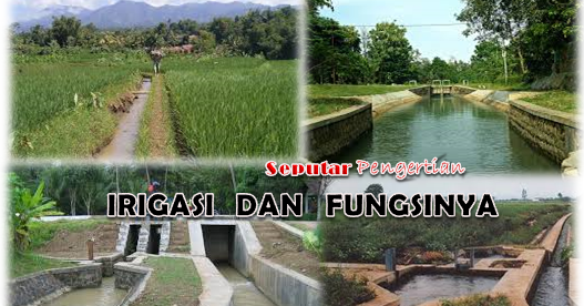 Pengertian Irigasi Beserta Fungsi dan Tujuannya - Batik Honest