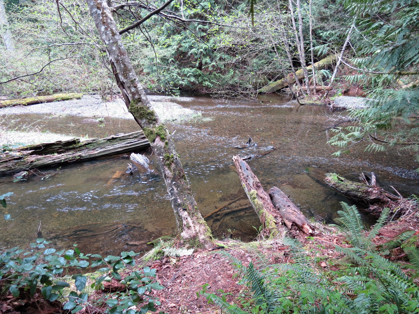 Everything Nanaimo: COLLIERY DAM PARK